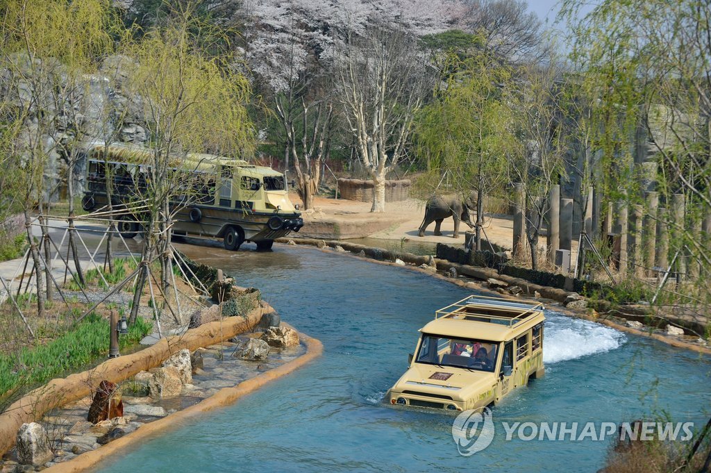 에버랜드 사파리 로스트밸리 스페셜투어 개장 연합뉴스