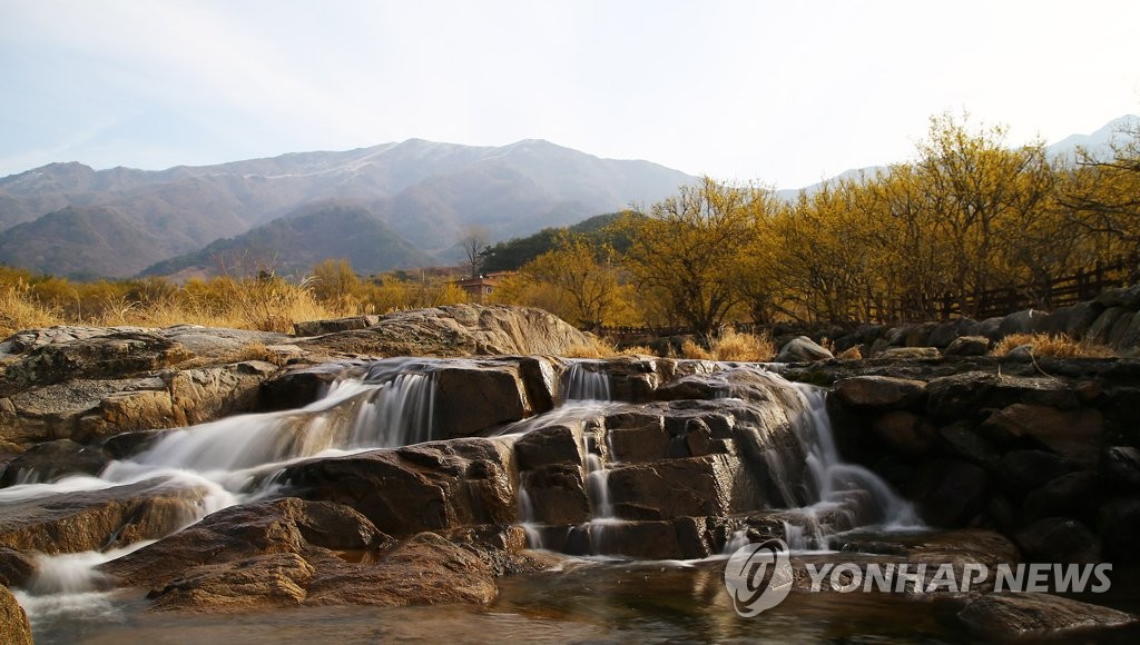 한 폭의 수채화 산수유꽃 활짝 핀 구례 연합뉴스