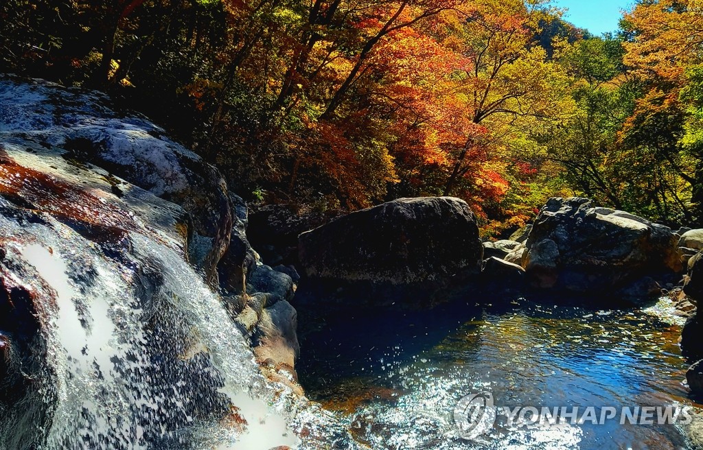 가을 물들어가는 지리산 피아골 | 연합뉴스