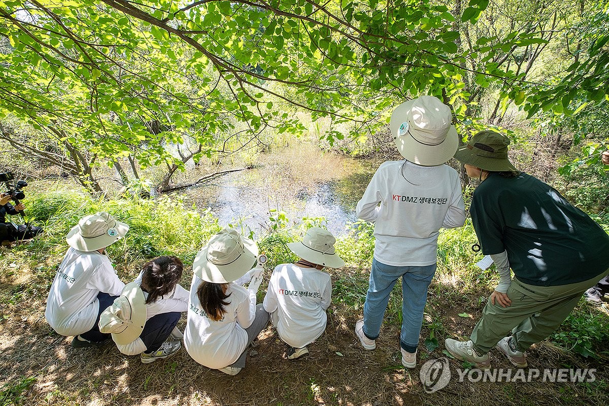KT, 'KT DMZ 생태보전단' 프로그램 진행 | 연합뉴스